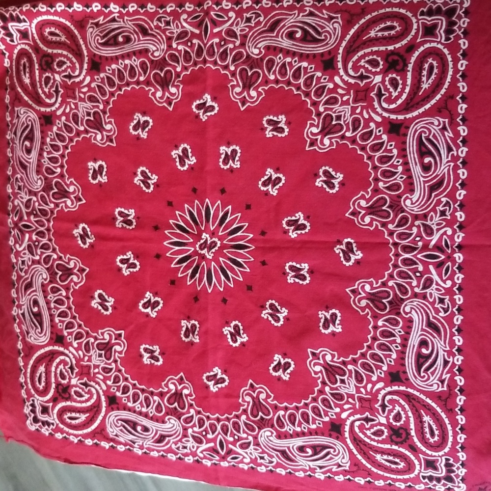 Hav A Hank Red Paisley Cotton Scarf Made In Usa - Gem